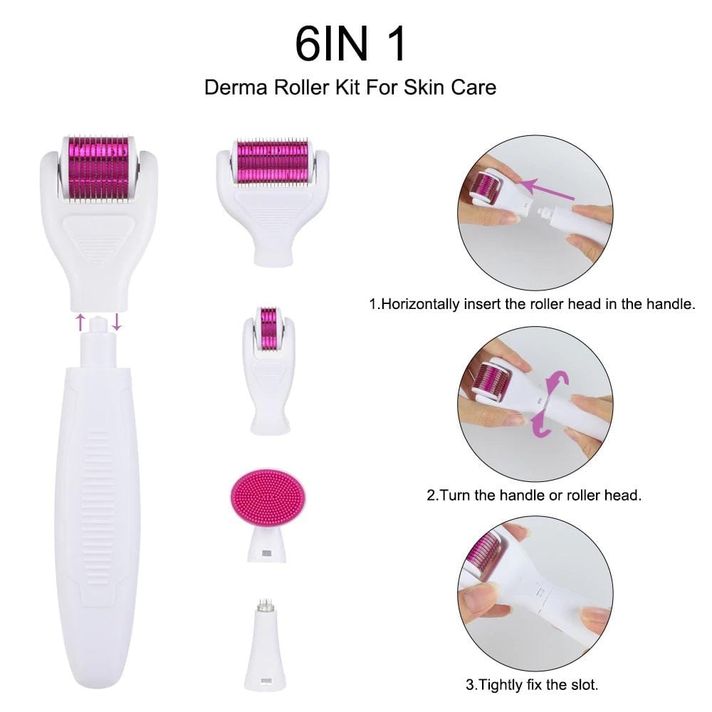 Derma Roller 6-in-1 | Microneedle At Home | Anti-Acne | Bold Skincare